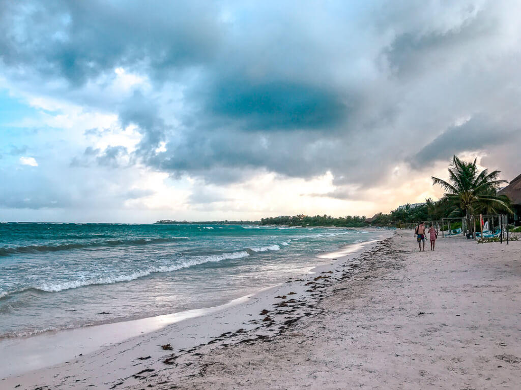 8 Steps On How To Swim With Turtles In Akumal: Janine's Exclusive Guide ...