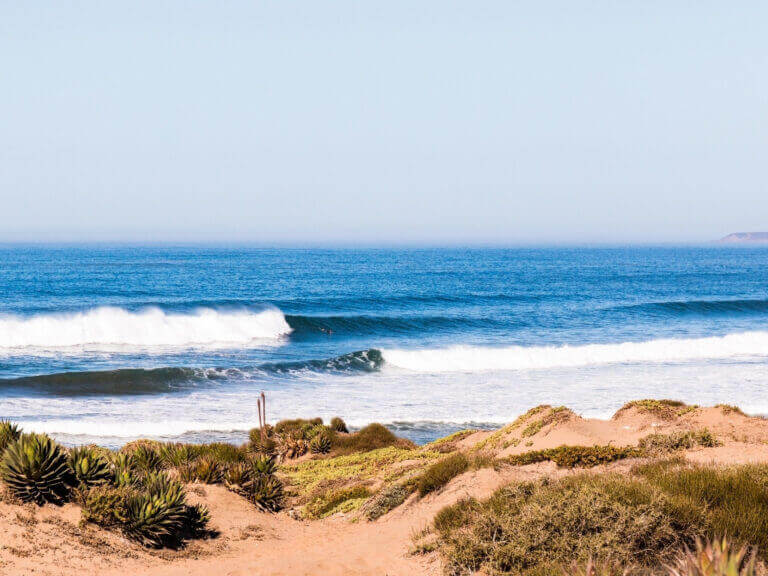 Interested In Visiting Mexico In November? It Is The Perfect Month For ...